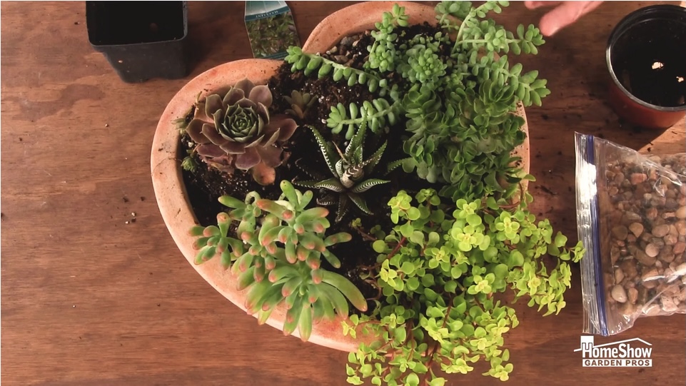 Premium Potting Mixes For Your Plants - HomeShow Garden Pros Radio