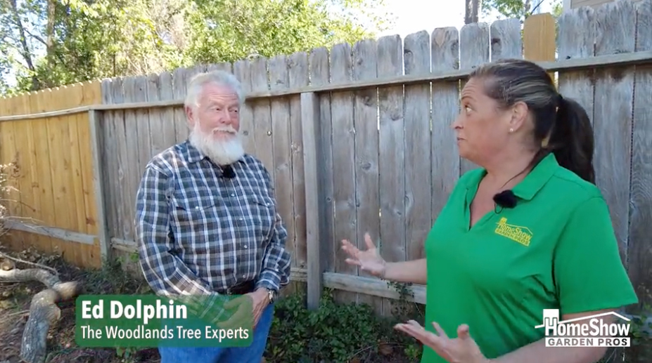 Pine Bark Beetles Homeshow Garden Pros Radio