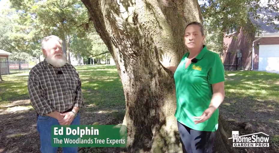 Pruning Do's and Don'ts | HomeShow Garden Pros Radio