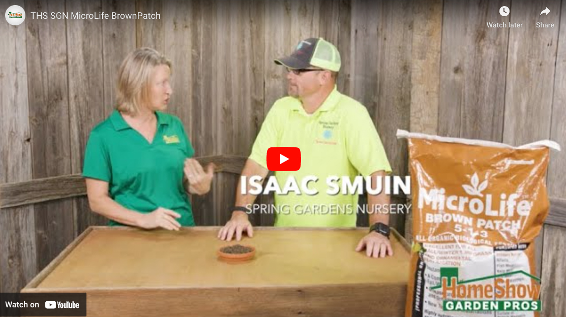 Dealing With The Dreaded Brown Patch | HomeShow Garden Pros Radio