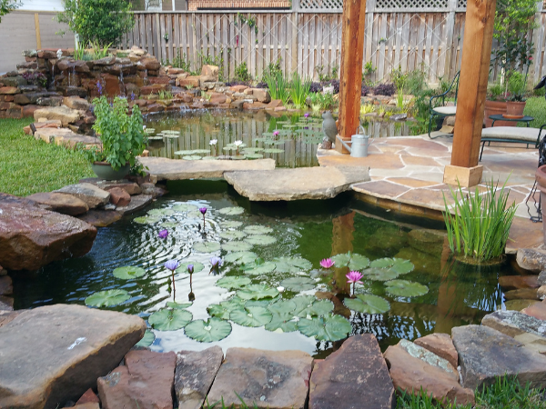 Nelson Nursery & Water Gardens | HomeShow Garden Pros Radio