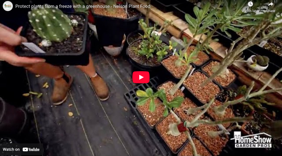 Protect plants from a freeze with a greenhouse | HomeShow Garden Pros Radio
