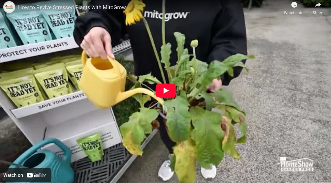 How to Revive Stressed Plants with MitoGrow | HomeShow Garden Pros Radio